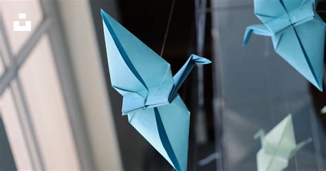 끈에 매달려있는 종이 접기 새 무리 사진 Unsplash의 무료 종이접기 이미지