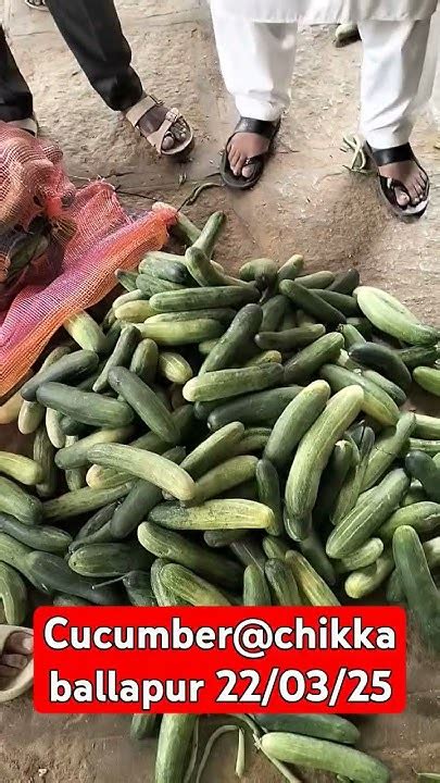 Cucumber Toebeans Youtube