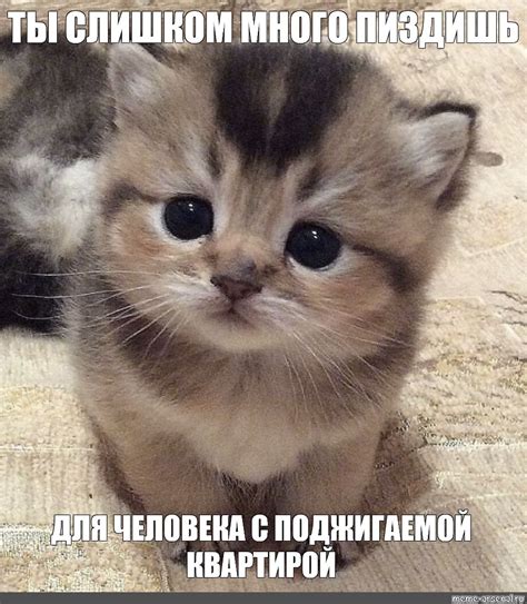 Meme ТЫ СЛИШКОМ МНОГО ПИЗДИШЬ ДЛЯ ЧЕЛОВЕКА С ПОДЖИГАЕМОЙ КВАРТИРОЙ