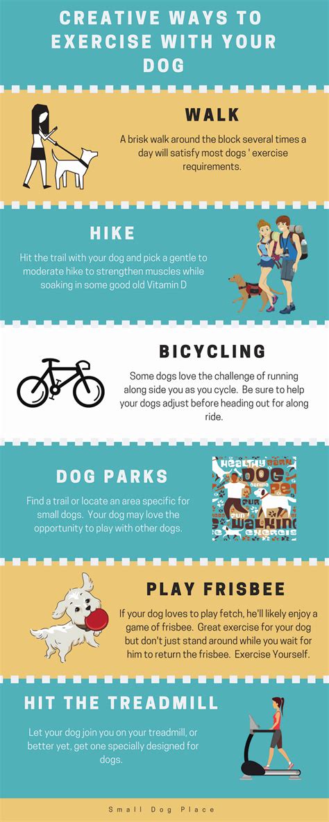 Exercise With Your Dog 7 Creative And Fun Ways To Get You Active