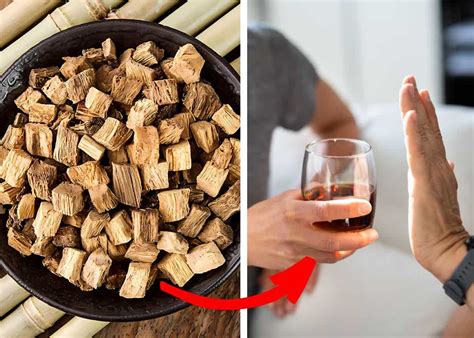 8 Powerful Reasons To Add Kudzu Root To Your Daily Routine