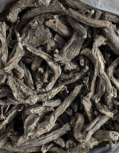 Dried Costus Root indian Costus Koshtam,karuthakottam, Kuth,ancient ...