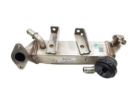 Egr-Cooler 8200719993 H8200620695 Behr 2.0 2.3 dci Renault 30 000km