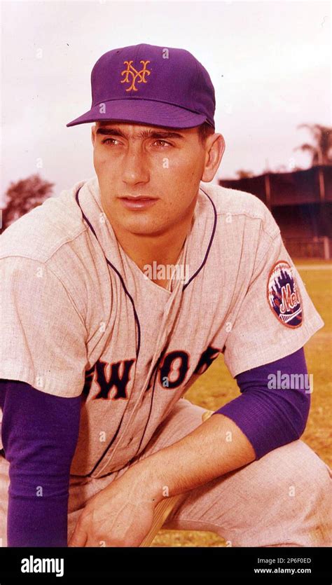 New York Mets Catcher Chris Cannizzaro Poses For A Portrait Vintage Photograph Circa 1962 Ap