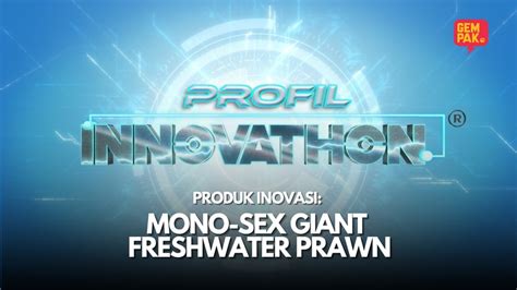 Profil Peserta Produk Mono Sex Giant Freshwater Prawn Innovathon Musim 2 Gempak