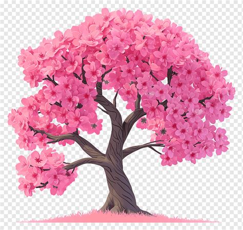 꽃이 피는 핑크 나무 평평한 벚꽃 나무 Png Pngwing