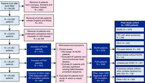 Inclusions And Exclusions During The Case Ascertainment Process The