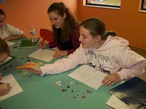 Bean Classification A Logic And Science Activity For High School