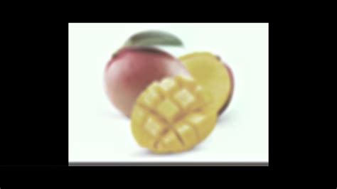 Archive 0005 Youtube Archive 0005 Youtube