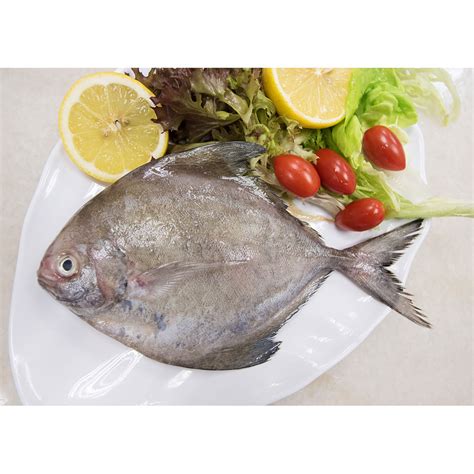 Black Pomfret Kmc Distribution Sdn Bhd