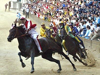 Il Palio Di Siena Bed And Breakfast Siena