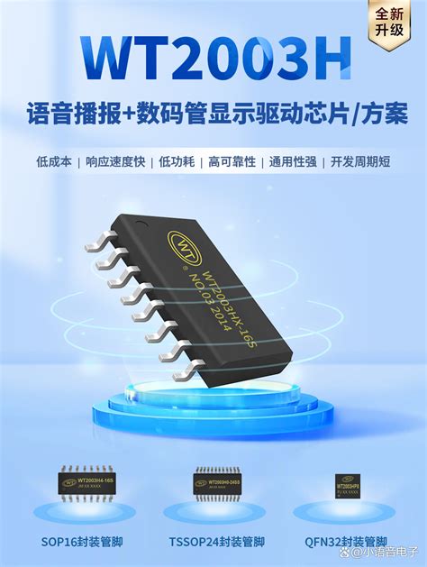 1312数码管显示驱动语音播报功能二合一方案，wt2003h4 B002 哔哩哔哩