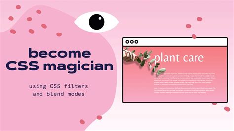 Programmieren für dein eigenes Portfolio HTML und CSS Grundlagen