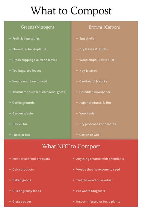 Composting For Beginners What To Compost And What Not To Vegetable