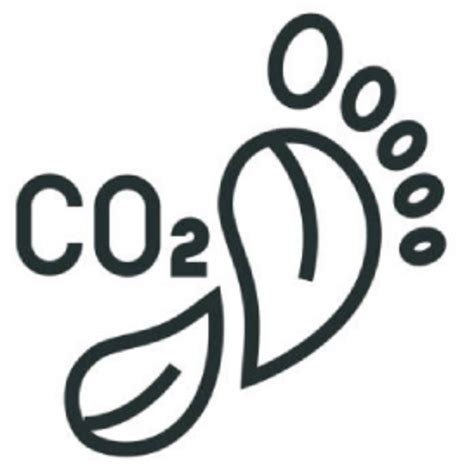 Individual Carbon Footprint Calculation Kaggle