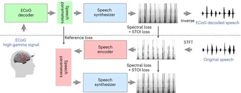 Nyu Researchers Build A Groundbreaking Ai Speech Synthesis System Dailyai