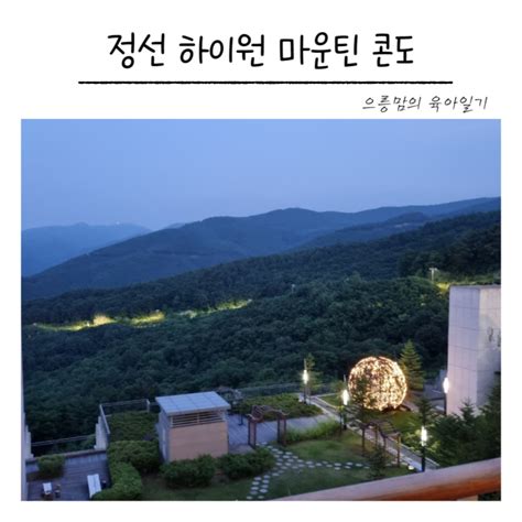 정선 하이원 리조트 마운틴 플러스 콘도 이용 후기 네이버 블로그