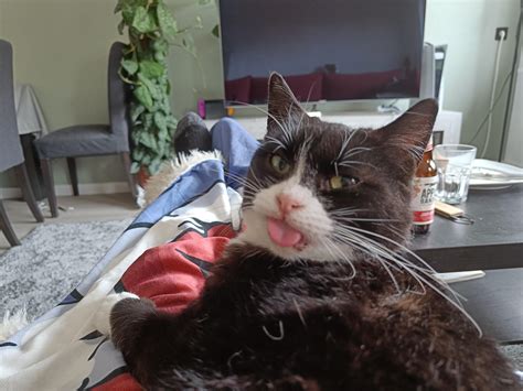 Monday Morning Blep From Yula Rblep