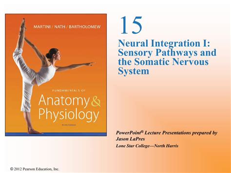 PDF Neural Integration I Sensory Pathways And System DOKUMEN TIPS