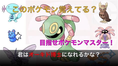 【ポケモンクイズ】問題 名前 あなたはもちろん忘れてないですよね？ Youtube