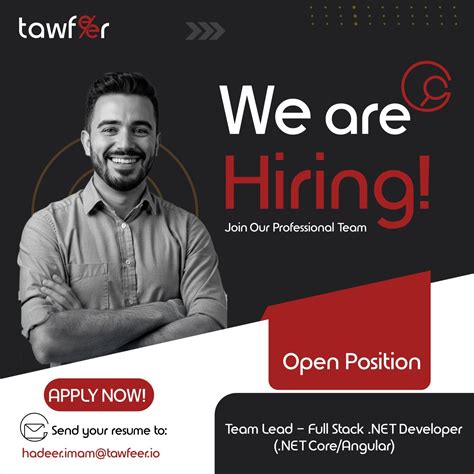 Net Developers Egypt Job Title Team Lead Full Stack Net