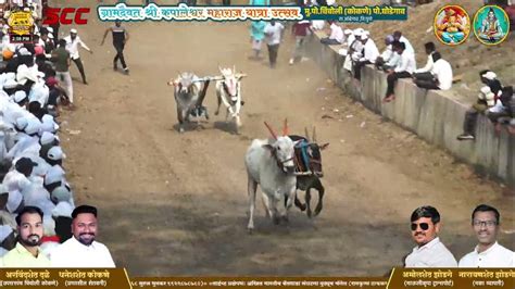चिंचोली कोकणे दुसरा दिवस मयुरशेठ दशरथ कोकणे ब्रिजेशशेठ रखमाजी धुमाळ ११