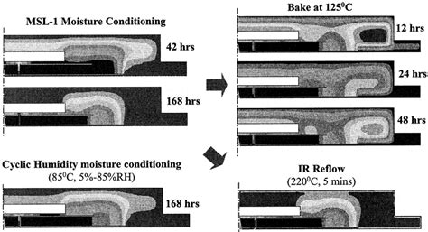 Illustration Of Moisture Diffusion Modeling Under Dynamic Download