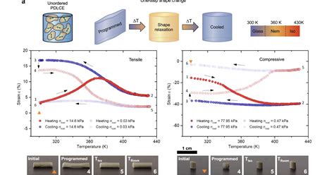 Shape Programmable Soft Materials Based On Liquid Crystal Elastomers
