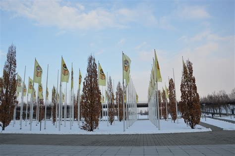 Startseite Anime Projects Shop