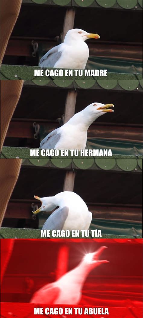Me Cago En Tu Meme By Checocrack Memedroid