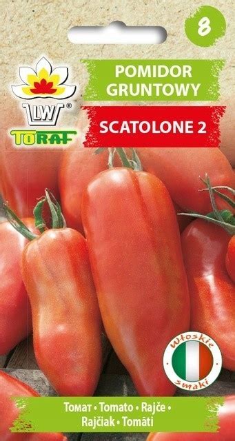 Pomidor Gruntowy Scatolone Wysoki 5907595509909 • Cena Opinie
