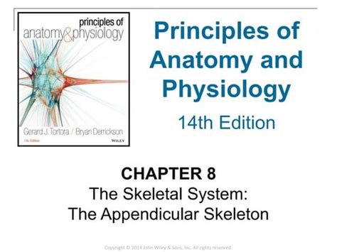 06 Chapter 6 The Skeletal System Bone Tissue Ppt