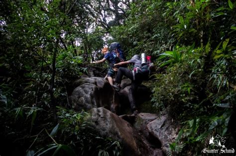 Subindo o Pico Caratuva 2º Maior do Sul do Brasil Mochileiros