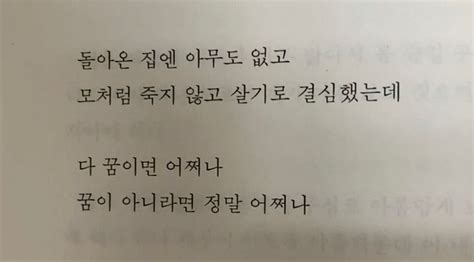 모처럼 죽지 않고 살기로 결심했는데 인생에 관한 명언 책 문구 영감을 주는 인용구