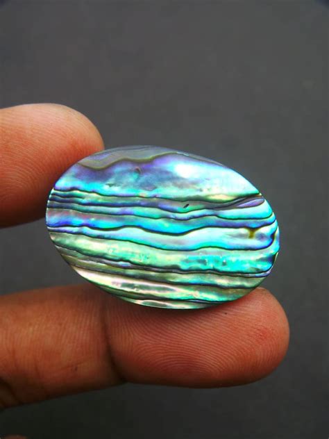 Abalone Shell Pearl Cabochon Abalone Shell Cabochon Natural Etsy