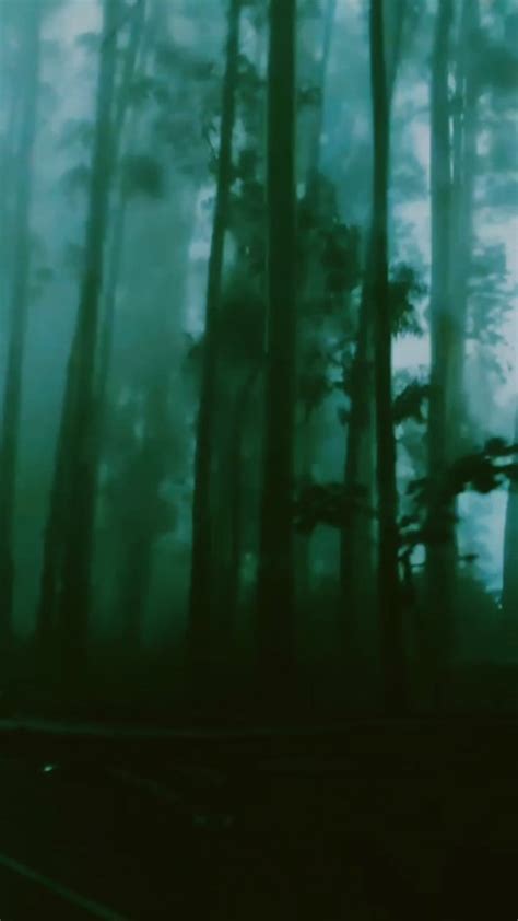 Sree Rag Tarzan • Instagram Photos And Videos