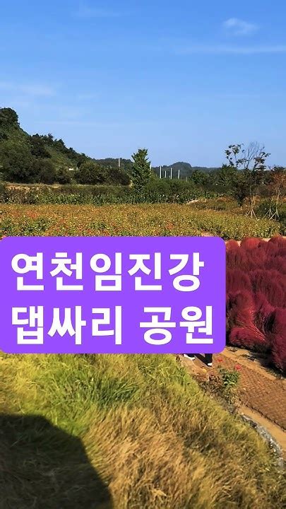 연천 임진강댑싸리공원 Youtube