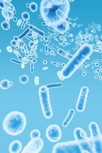 장내 세균 그람 음성 막대 모양의 박테리아 장내 미생물의 일부 및 다른 감염의 원인 물질 3d 렌더링 대장균 Klebsiella Enterobacter 및 기타 0명에 대한