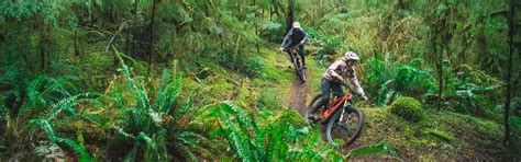 Levo EMTB Forums