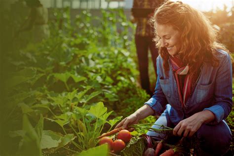 How To Dig The Soil In Your Garden And What Benefits Will It Bring