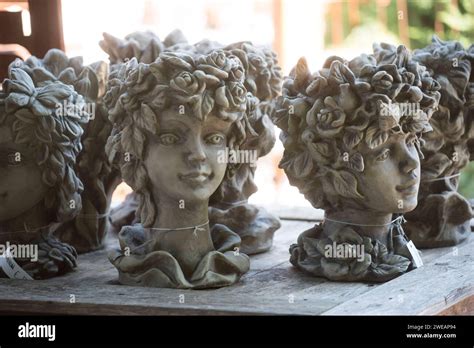 The Hairstyle Of A Human Being Hairs On The Head Hairstyle Of A Human