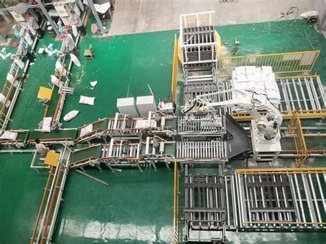 High Capacity Fully Automated Robotic Palletizer China Speediness And
