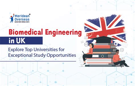 Biomedical Engineering In Uk Top Universities And Application Process