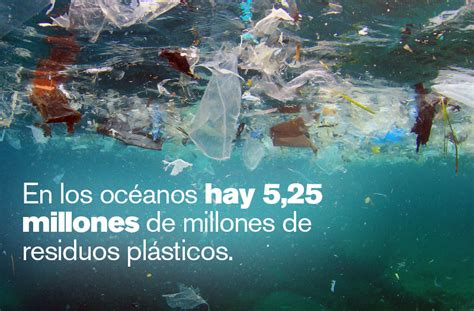 La página verde El daño que causan las bolsas de plástico