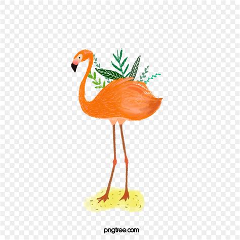 화열조 원소 플라밍고 클립 아트 만화 여름 Png 일러스트 및 벡터 에 대한 무료 다운로드 Pngtree