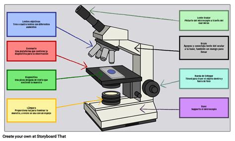 Partes De Una Actividad De Etiquetado De Microscopio