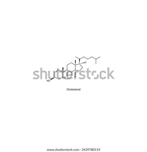 Cholesterol Skeletal Structure Diagram Compound Molecule Stock Vector
