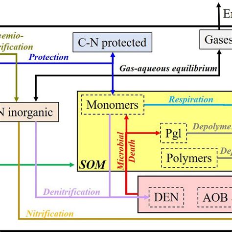 Outline Of Substrate Requirements By Microbial Functional Groups For Download Scientific