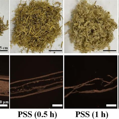 Images Showing Solid Substrates A Photograph For Solid Substrates