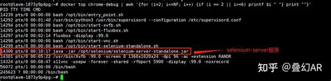 Docker：selenium Chrome实现 知乎